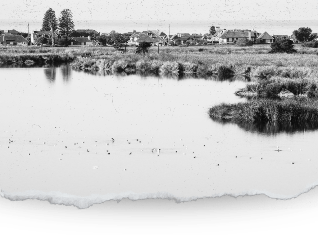 North County San Diego News